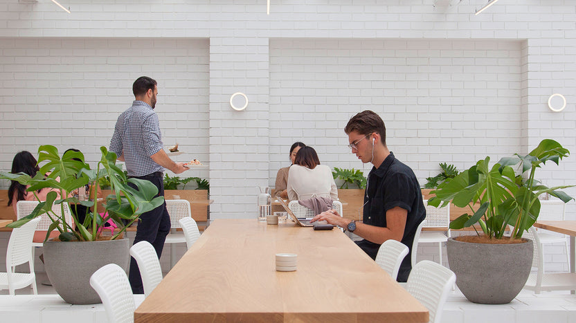 Newstead Café | Brisbane Café - Industry Beans