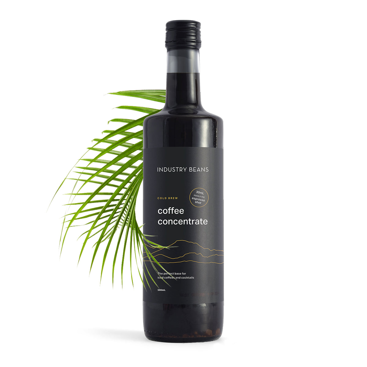 Cold Brew Coffee Concentrate | Industry Beans