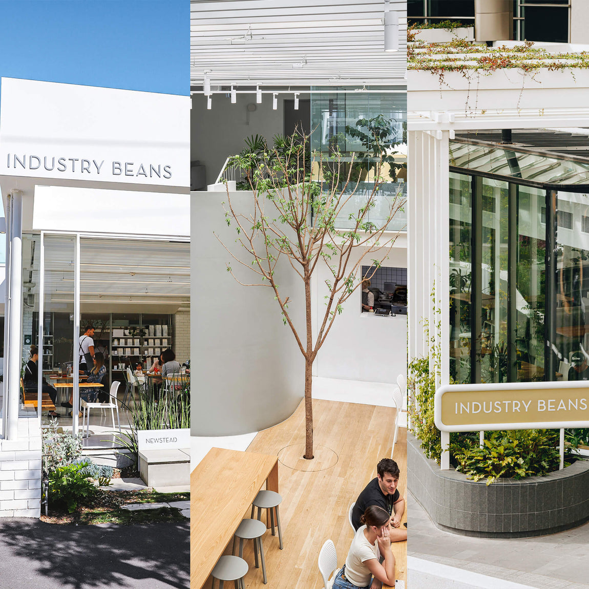 About Industry Beans Specialty Coffee Roasters