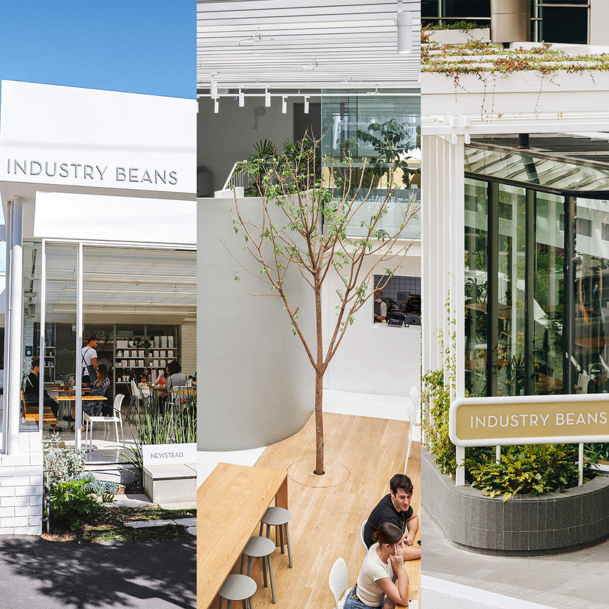 About Industry Beans Specialty Coffee Roasters