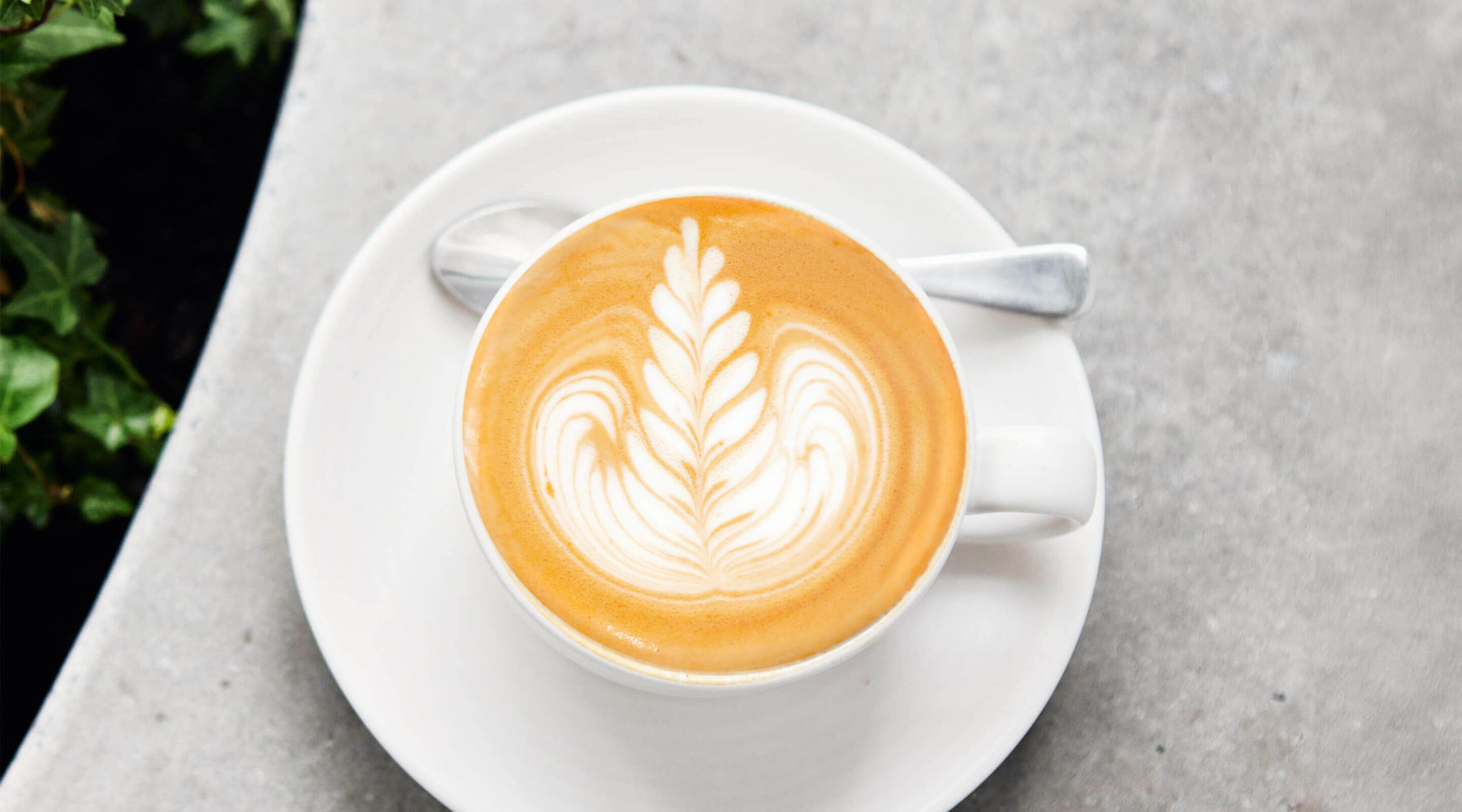 Single Origin | Single Origin Coffee Beans - Industry Beans