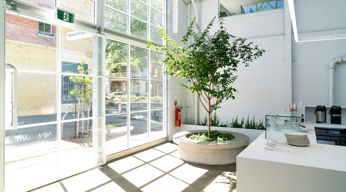 Fitzroy Café | Fitzroy Roastery - Industry Beans