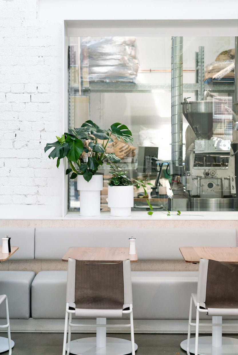 Fitzroy Café | Fitzroy Roastery - Industry Beans