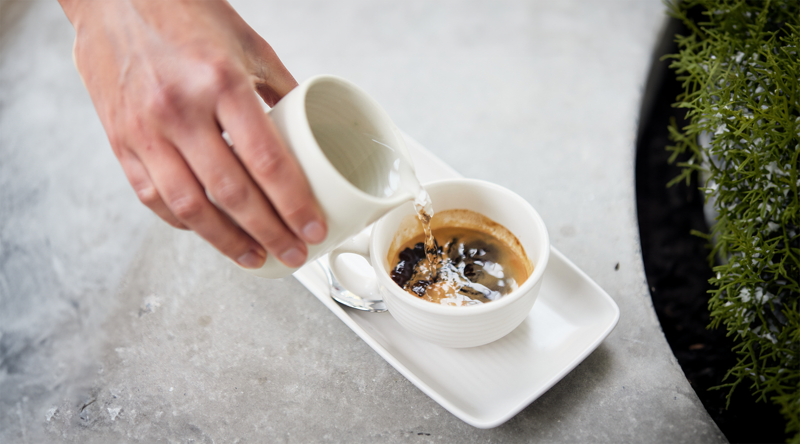 About Industry Beans Specialty Coffee Roasters