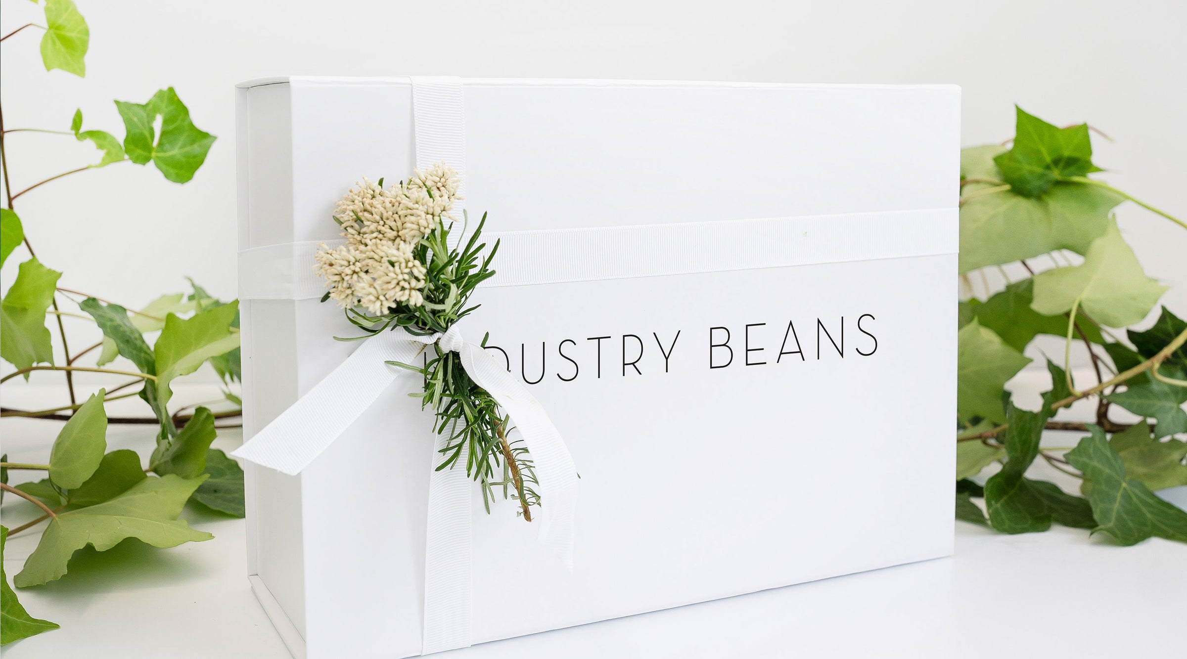 Industry Beans - Specialty Coffee Roasters