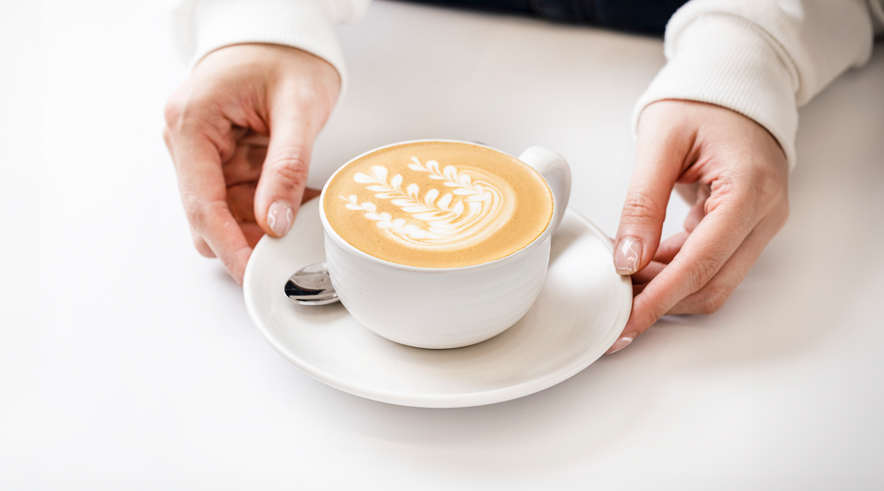 Fitzroy Café | Fitzroy Roastery - Industry Beans